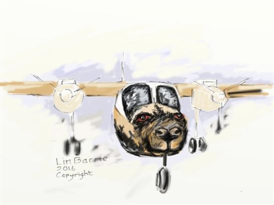 A Wild Dog takes to the air! - The Africa Adventure Company