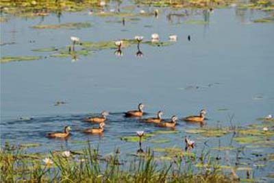 Mombo Camp - June 2013 - The Africa Adventure Company