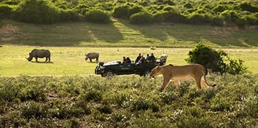 Kwandwe Private Game Reserve - The Africa Adventure Company
