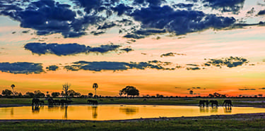 Hwange National Park - The Africa Adventure Company