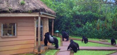 Bev Erickson & Jim Moen - The Africa Adventure Company