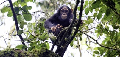 Jennifer Steck - The Africa Adventure Company