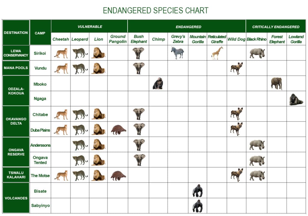 7 SUPERB SAFARIS FOR AFRICA’S ICONIC ENDANGERED SPECIES - The Africa ...