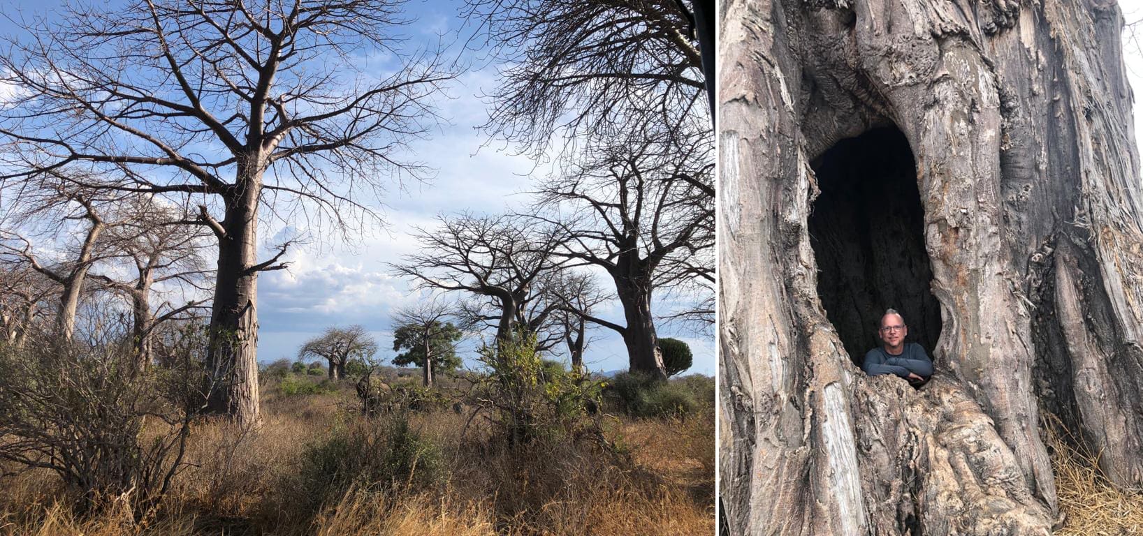 Kyle Witten in Ruaha and Nyere National Parks, Tanzania - The Africa ...