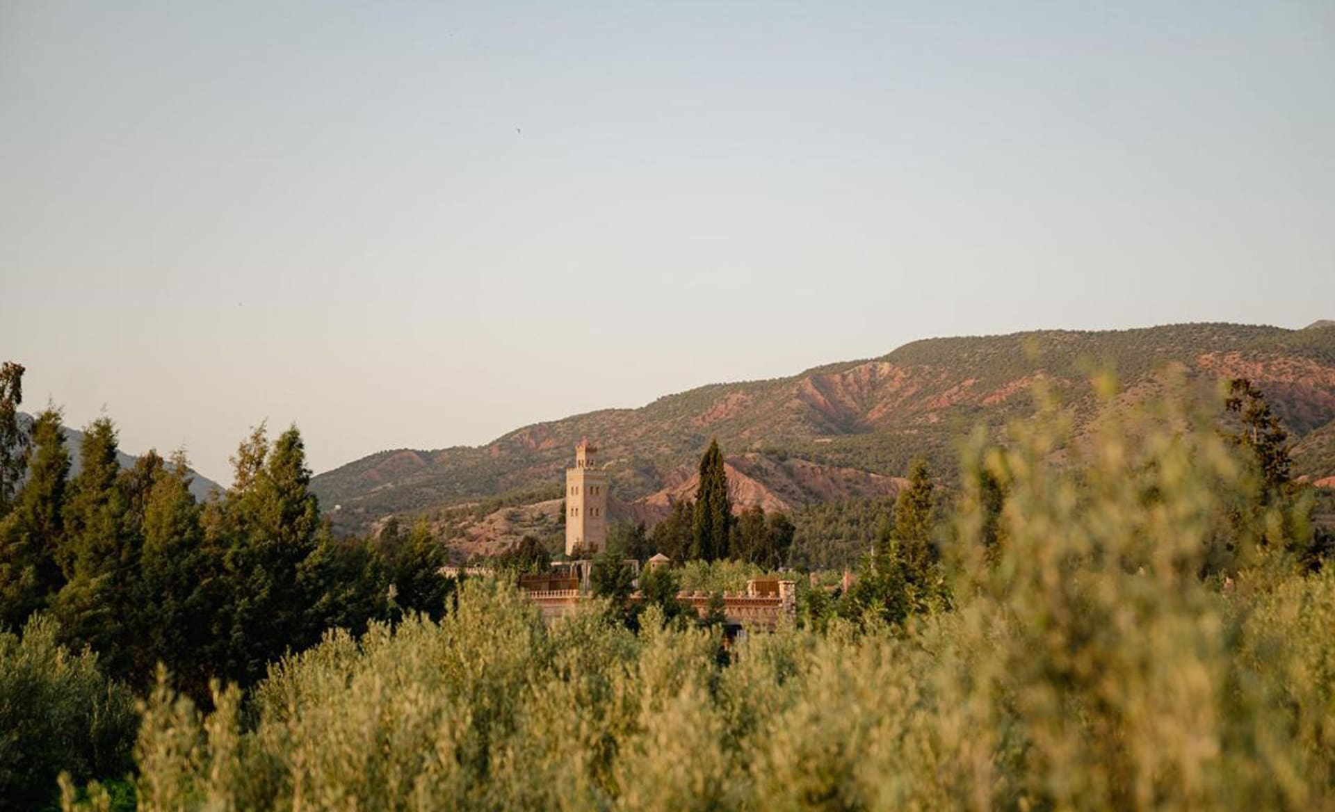 Olinto - The Africa Adventure Company