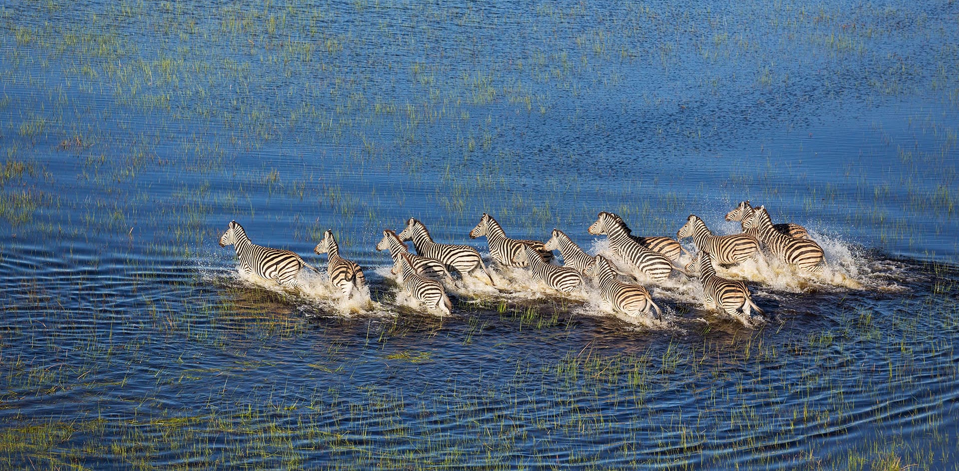 Book one of Africa's 10 great wildlife migration safaris - The Africa ...
